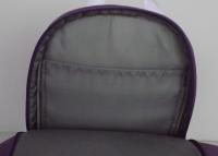 China Promotional Purple Outdoor Sports Backpack / Sports Back Pack for Hiking for sale