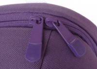 China Promotional Purple Outdoor Sports Backpack / Sports Back Pack for Hiking for sale