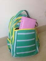 China OEM ODM Green White Polyester Striped High School Backpacks with Laptop Pocket for sale