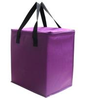 China Disposable Blue Cooler Insulated picnic bag Lunch Bags OEM / ODM For Men for sale