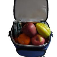 China Two Compartment Insulated Picnic Bag PEVA PVC Cotton Food Container for sale