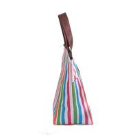 China Insulated Picnic Cooler Bags Polyester Lunch Bags For Frozen Food for sale