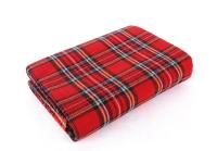 China Red Outdoor Camping Mat Waterproof Picnic Blanket Polyester Sponge Material for sale
