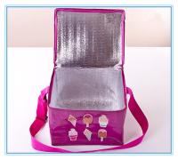 China Food 6 Can Insulated Cooler Bags Laminated Pp Woven Outdoor Fitness With Aluminum for sale