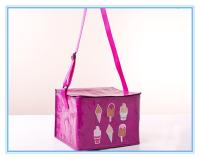 China Food 6 Can Insulated Cooler Bags Laminated Pp Woven Outdoor Fitness With Aluminum for sale