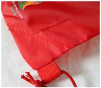 China TPBP018 Outdoor Gym Sports Backpack Red Heavy Duty Polyester Drawstring for sale