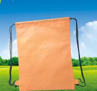 China Traveling Outdoor Sports Backpack , Advertising Drawstring Bag TPBP022 for sale