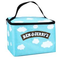 China 35*22*30 CM Size Insulated Picnic Bag Non Woven With 2Mm Aluminum EPE for sale