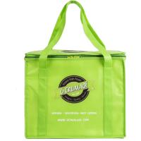 China 35*22*30 CM Size Insulated Picnic Bag Non Woven With 2Mm Aluminum EPE for sale