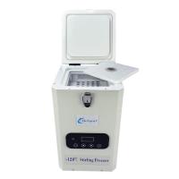 China 12V/24V/110V-240V Voltage Small Size 2L Ultra-Low Temperature Freezer for Scientific for sale