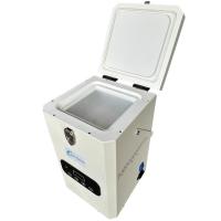 China 12V/24V/110V-240V Voltage Small Size 2L Ultra-Low Temperature Freezer for Scientific for sale