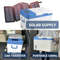China Refport 12V/24V DC 25L Ultra Low Temperature Home Storage Camping Portable Freezer for sale