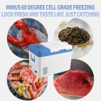 China 100V to 240V Car Deep Cold Storage 12V DC Freezer -60 Degree 25L for All Climate Types for sale