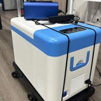 China 25L Capacity Refport Portable Mini Transfer -60 Degree Freezer with Helium Refrigerant for sale