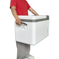 China 110/220V 50/60Hz Voltage Portable Freezer for Deep Temperature Cold Storage -45 Degree for sale