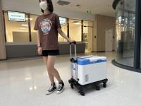 China Portable Mini Solar 12V DC 25L Low Temperature Deep Freezer for ALL Climate Type for sale