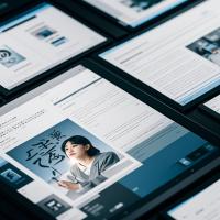 China Image Copyright Management Platform DRM AI Content Protection Web Based SAAS for sale
