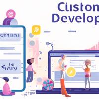 China Professional Web Development Services To Create Your Unique Online Brand Influence for sale