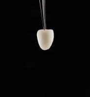 China 3D Multilayer Dental Zirconia Disc 2in 1 Ultra Gradient Aesthetics for sale