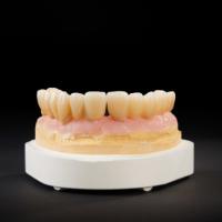 China Translucent Dental Zirconia Block Pre Shaded Multilayer for CAD / CAM System for sale