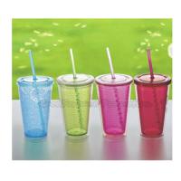 China 16oz Two Layer Plastic Tumbler Mug Water Drink Cup Coloured Customed Printed for sale