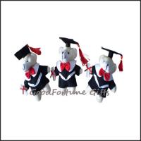 China High Memorability Personalized Stuffed Animals For Student Graduation Anniversaries for sale