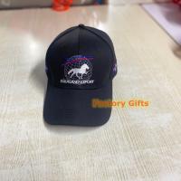 China Cotton 6 Panel Trucker Hat Brushed Baseball With Embroidery Printed Logo for sale