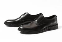 China Fashion Embossing Mens Leather Dress Shoes Brown Round Toe Standard Dance Shoes for sale
