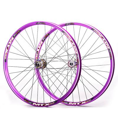 China MTX33 29 Inch MTB Wheelset with 33mm Welding Rim and Six-Hole Disc Brake System - 2700g Weight for sale