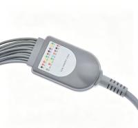 China Lightweight ECG Holter Cable Durable ECG Monitor Cable 10 Pin Connector For Heart Monitoring for sale
