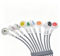 China Lightweight ECG Holter Cable Durable ECG Monitor Cable 10 Pin Connector For Heart Monitoring for sale
