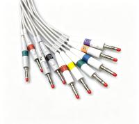 China 3m EKG Cable CE Certified ECG Cord 10 Lead For Schiller AT3 for sale