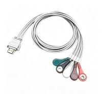 China 19 Pin Holter ECG Cable 1.25m ECG Accessories 5 Lead Compatible Biocare IH-12PLUS for sale