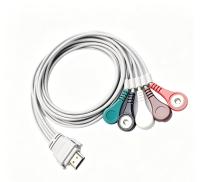 China 19 Pin Holter ECG Cable 1.25m ECG Accessories 5 Lead Compatible Biocare IH-12PLUS for sale