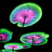 China Color Changing Iron Wire Lotus Leaf Light 340-350CM with Dual Temperature LED for Shopping Mall Decorations for sale