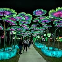 China Color Changing Iron Wire Lotus Leaf Light 340-350CM with Dual Temperature LED for Shopping Mall Decorations for sale