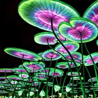 China Color Changing Iron Wire Lotus Leaf Light 340-350CM with Dual Temperature LED for Shopping Mall Decorations for sale