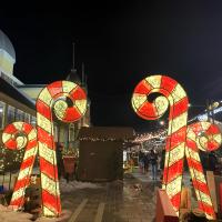 China Custom 220-240CM LED Santa Claus Christmas Lanterns for Outdoor Decor - 110/220V Power for sale