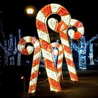 China Custom 220-240CM LED Santa Claus Christmas Lanterns for Outdoor Decor - 110/220V Power for sale