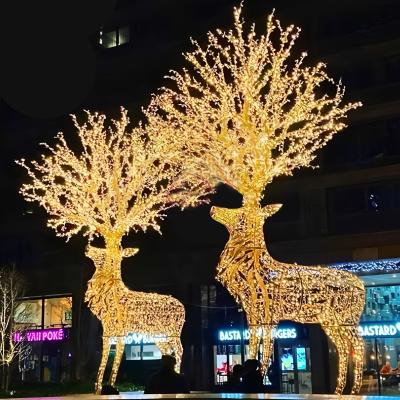 China Large-scale Outdoor Christmas Decorations - Light-up Christmas Reindeer Decor for Garden Decoration for sale