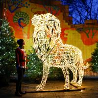 China Large-scale Outdoor Christmas Decorations - Light-up Christmas Reindeer Decor for Garden Decoration for sale
