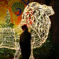 China Large-scale Outdoor Christmas Decorations - Light-up Christmas Reindeer Decor for Garden Decoration for sale