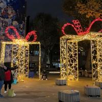 China LED Iron Wire Gift Box Holiday Lights Decoration for Outdoor Plant Gardens for sale