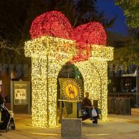 China LED Iron Wire Gift Box Holiday Lights Decoration for Outdoor Plant Gardens for sale