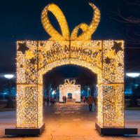 China LED Iron Wire Gift Box Holiday Lights Decoration for Outdoor Plant Gardens for sale