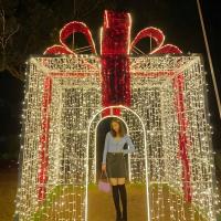 China LED Iron Wire Gift Box Holiday Lights Decoration for Outdoor Plant Gardens for sale