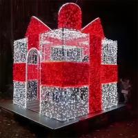China High-Quality 3D LED Wire Gift Box Decoration Lights for Christmas, Perfect for Plant and Garden Use for sale