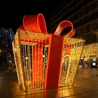 China High-Quality 3D LED Wire Gift Box Decoration Lights for Christmas, Perfect for Plant and Garden Use for sale