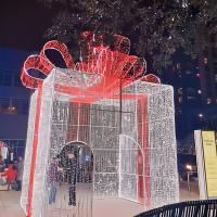 China High-Quality 3D LED Wire Gift Box Decoration Lights for Christmas, Perfect for Plant and Garden Use for sale
