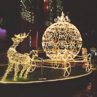 China Large-scale Outdoor Christmas Holiday Lighting Decorations - 3D Light-up Christmas Deer & Pumpkin Carriage for sale